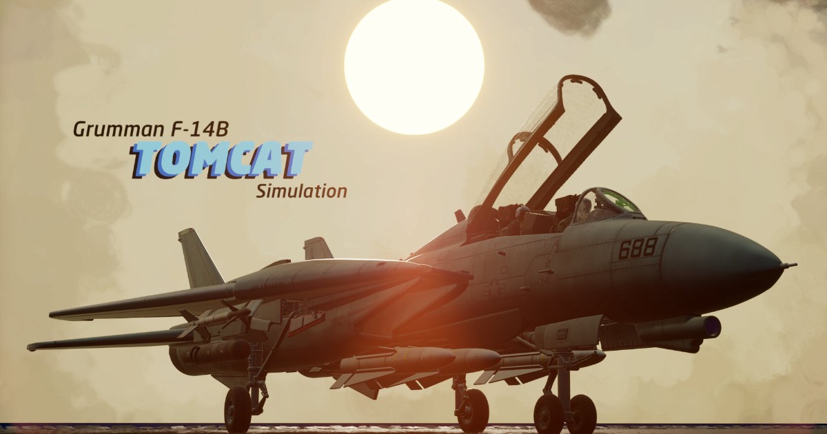F-14B Tomcat - Simulation | Indreams - Dreams™ companion website
